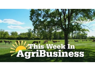 This Week In Agribusiness - RFD-TV Now